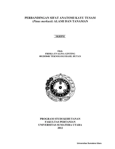 Perbandingan Sifat Anatomi Kayu Tusam (Pinus merkusii) Alami dan Tanaman