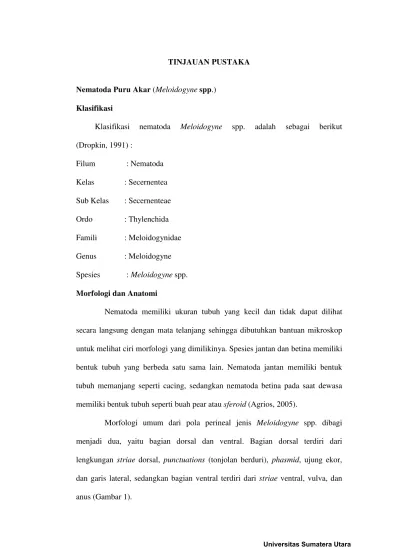Identifikasi Spesies Nematoda Puru Akar Meloidogyne spp. pada Tanaman ...