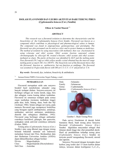 ISOLASI FLAVONOID DAN UJI BIO AKTIVITAS DARI TERUNG PIRUS (Cyphomandra ...